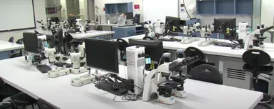 Videos: A Sampling of Virtual Lab Tours | The Scientist