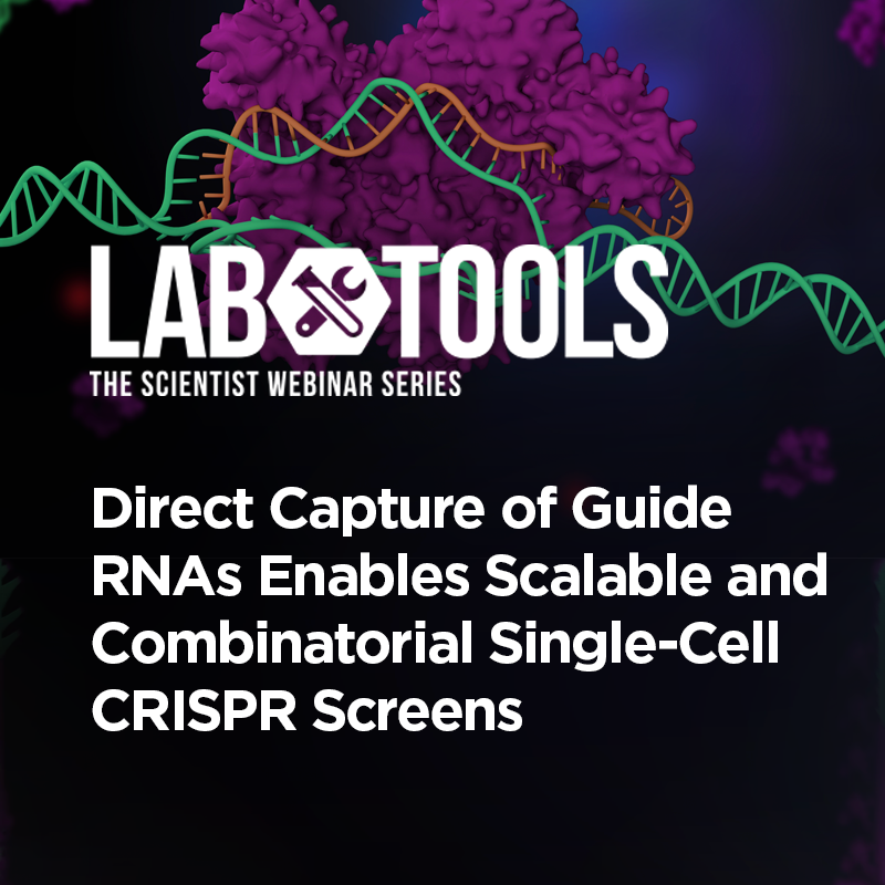 Direct Capture Of Guide Rnas Enables Scalable And Combinatorial Single Cell Crispr Screens The