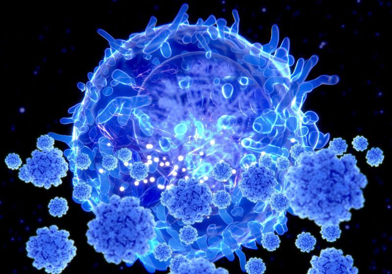 SARS-CoV-2-Reactive T Cells Found in Patients with Severe COVID-19 ...