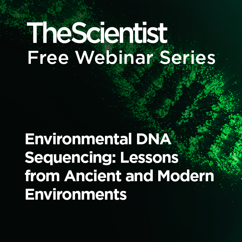 Environmental DNA Sequencing: Lessons from Ancient and Modern ...