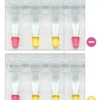New England Biolabs' SARS-CoV-2 Rapid Colorimetric LAMP Assay Kit ...