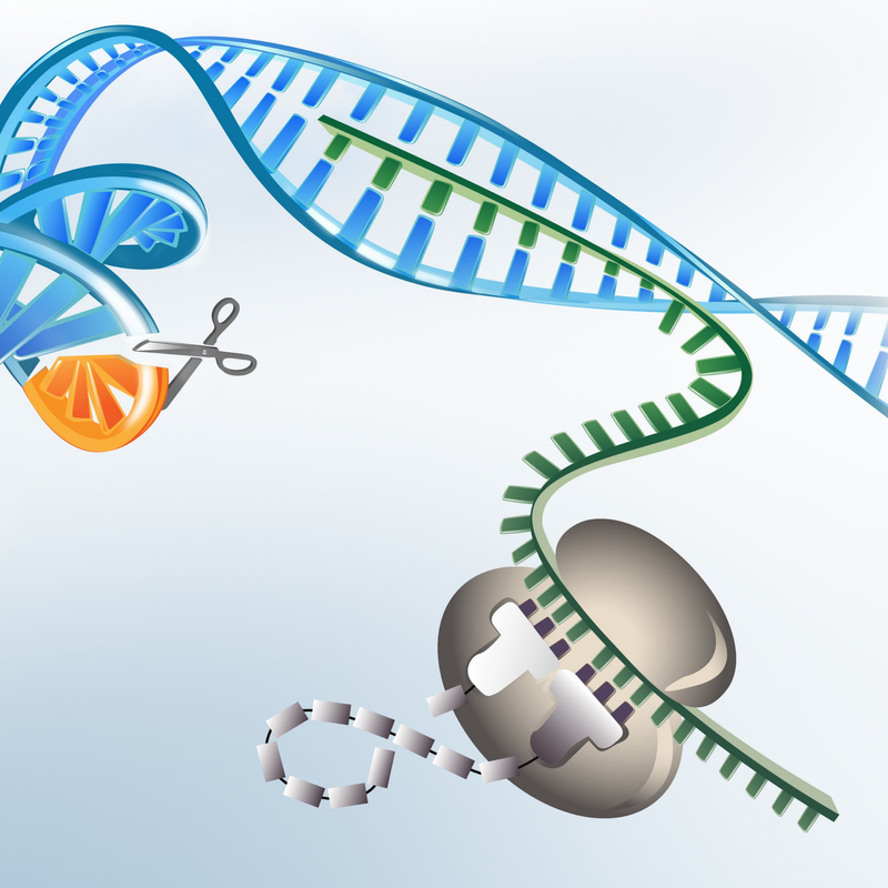 An Introduction to Cell-Free Protein Expression | The Scientist