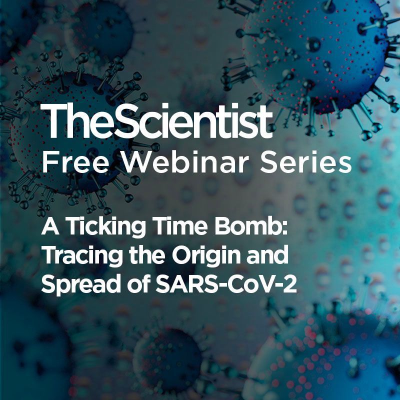 A Ticking Time Bomb: Tracing the Origin and Spread of SARS-CoV-2 | The ...