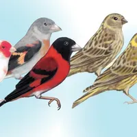 Color | The Scientist