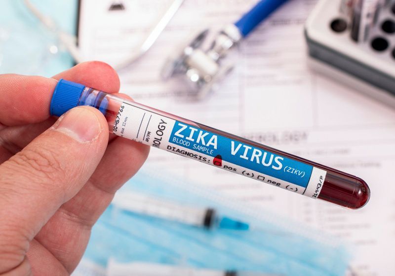 Zika Infection Increases Risk of Severe Dengue Fever | The Scientist