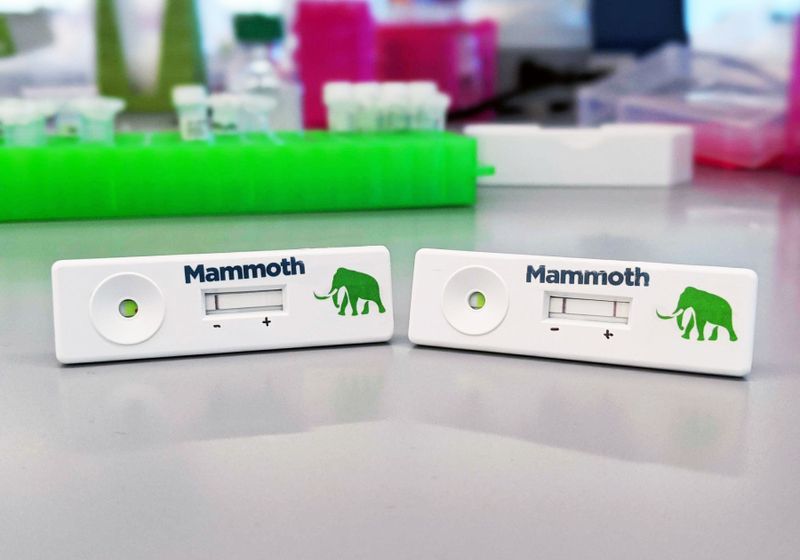 Toward COVID-19 Testing Any Time, Anywhere | The Scientist