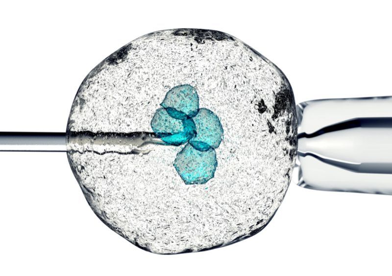 Panel Lays Out Guidelines For Crispr Edited Human Embryos The Scientist