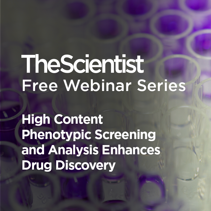 High Content Phenotypic Screening and Analysis Enhances Drug Discovery ...