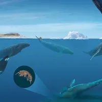 Global Warming | The Scientist