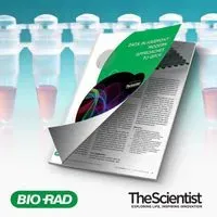 Quantitative PCR | The Scientist