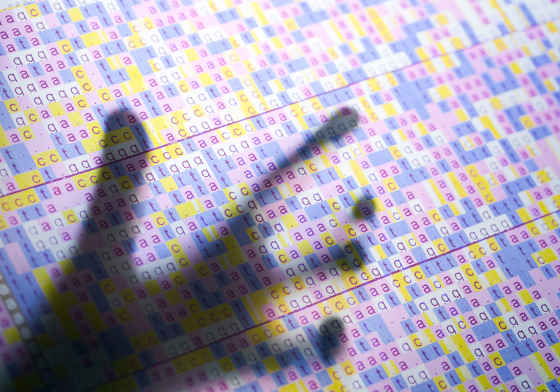 Q&A: A New Tool for Ensuring Genetic Privacy | The Scientist