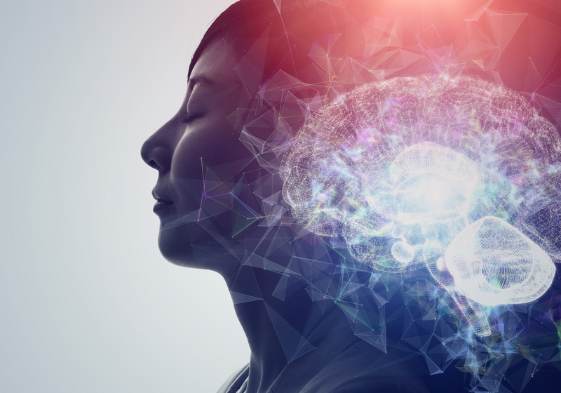 Book Excerpt from When Brains Dream | The Scientist