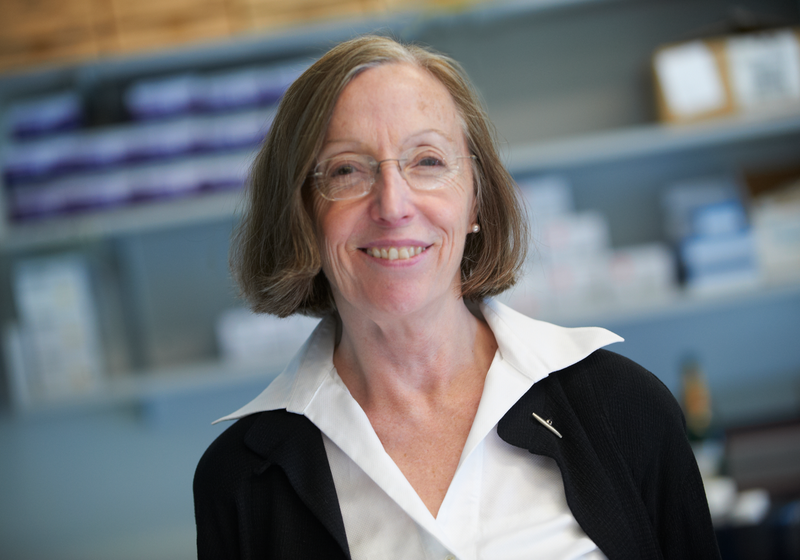 Developmental Biologist Kathryn Anderson Dies at 68 | The Scientist