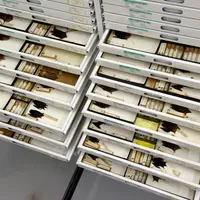 Max Kozlov Author Profile | The Scientist