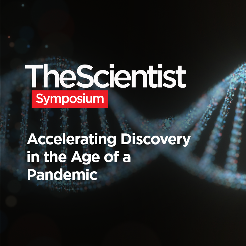 Accelerating Discovery in the Age of a Pandemic | The Scientist