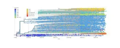 Side-by-Side Comparisons of Important SARS-CoV-2 Variants | The Scientist