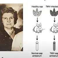 Celebrating Helen Purdy Beale | The Scientist