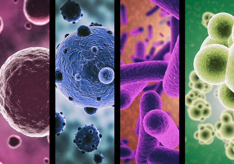 Researchers Propose Automating the Naming of Novel Microbes | The Scientist