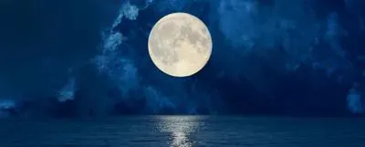 Moon Cycles and Menstrual Cycles | The Scientist