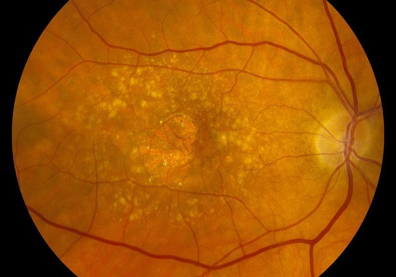 Human Cells Can Synthesize DNA in Their Cytoplasm | The Scientist