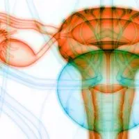 Polycystic Ovary Syndrome (PCOS): Epigenetic Inheritance Across ...