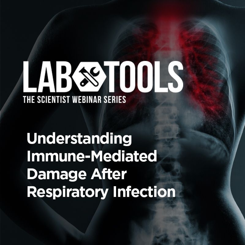 Understanding Immune-Mediated Damage After Respiratory Infection | The ...