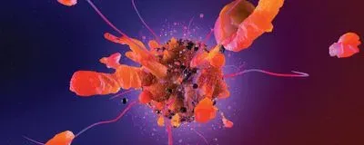 New Understanding of Metastasis Could Lead to Better Treatments | The ...