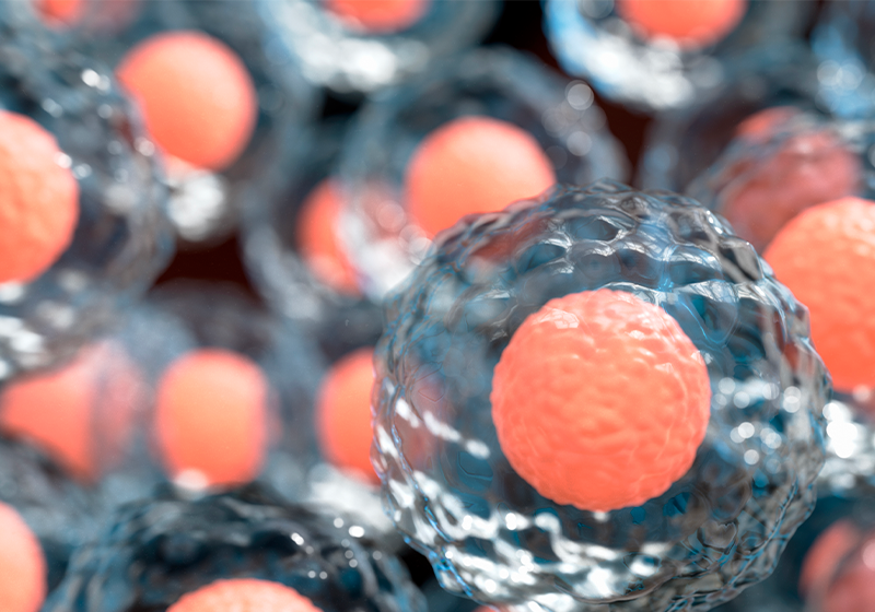 Exploring Single Cell Analysis of Organoid Models: An Expert Panel ...