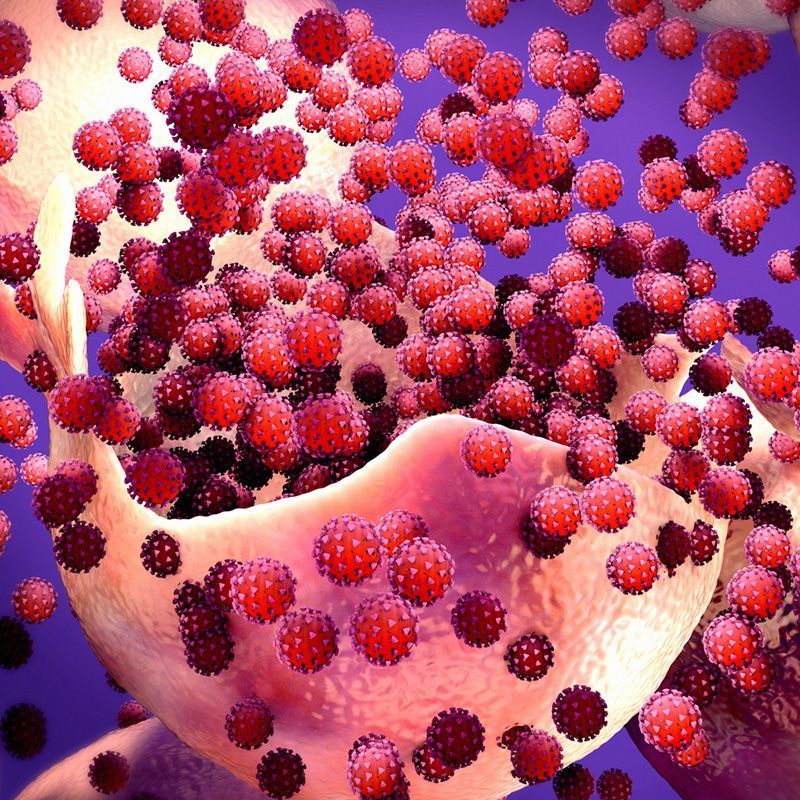 The Scientist Speaks - Thieves on the Inside: Viral Control of Host ...