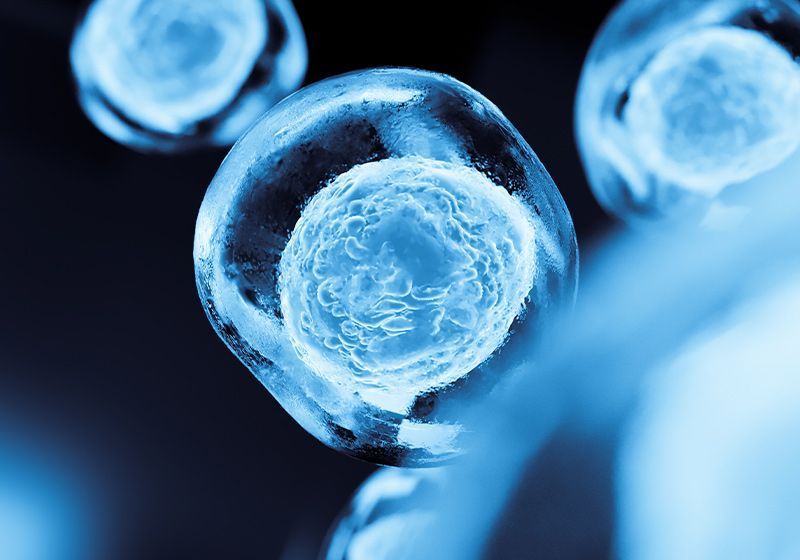 Technique Talk: Getting Started with Sample Prep for Single Cell ...