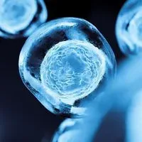 Technique Talk: Getting Started with Sample Prep for Single Cell ...