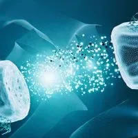 Synapse | The Scientist