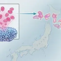 Coral Reefs | The Scientist