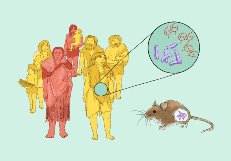 Infographic: Microbiome-Driven Adaptations in Animals | The Scientist