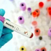 Malaria | The Scientist