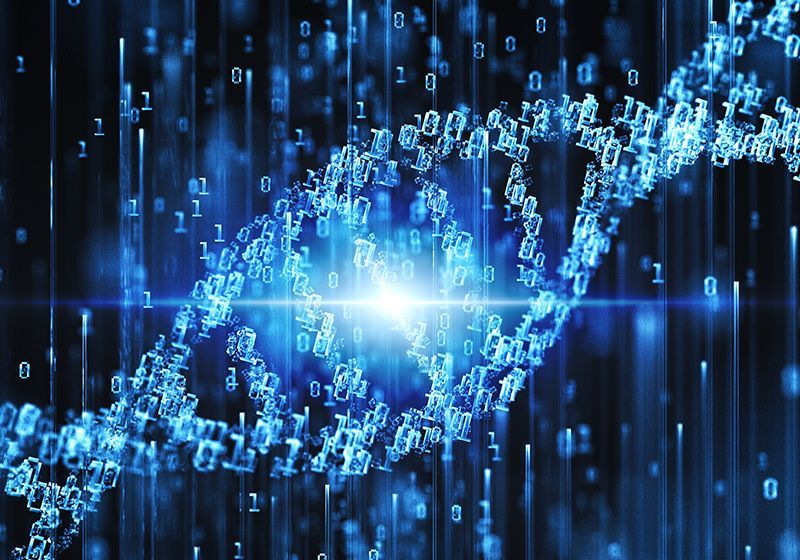 Targeted DNA Sequencing: Probing for Answers | The Scientist