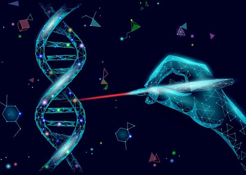 WHO Releases New Recommendations on Human Genome Editing | The Scientist