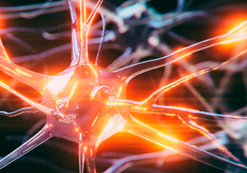 Mapping Neuronal Gene Expression to Understand Pain | The Scientist