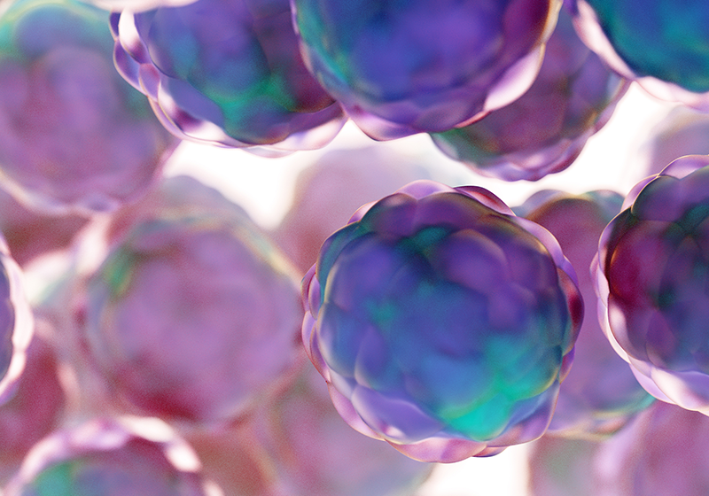 Cell & Molecular Biology, Flow Cytometry News, Articles | The Scientist ...