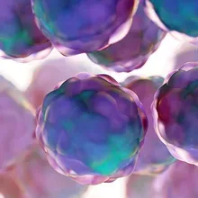 Beckman Coulter Profile | The Scientist