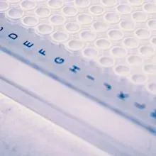 INTEGRA BIOSCIENCE Profile | The Scientist