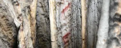 65,000-Year-Old Cave Markings Made by Neanderthals: Study | The Scientist