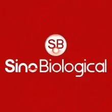 Sino Biological Profile | The Scientist