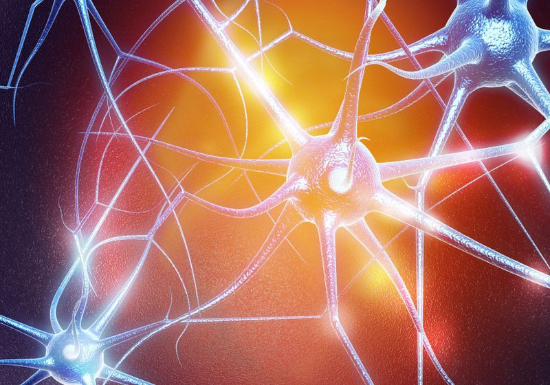 Neuron-Released Protein Can Set Off Inflammation: Study | The Scientist