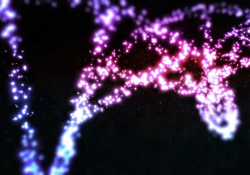 Signaling Dynamics Fine-Tune Gene Expression | The Scientist