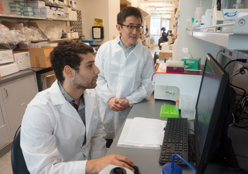 Heating Up CAR T Cells for Cancer Therapy | The Scientist