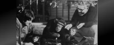 R. Allen Gardner, Who Taught Chimps to Sign, Dies at 91 | The Scientist