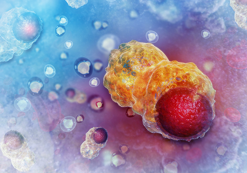 Understanding Cancer Evolution Through the Lens of Single Cell Genomics ...