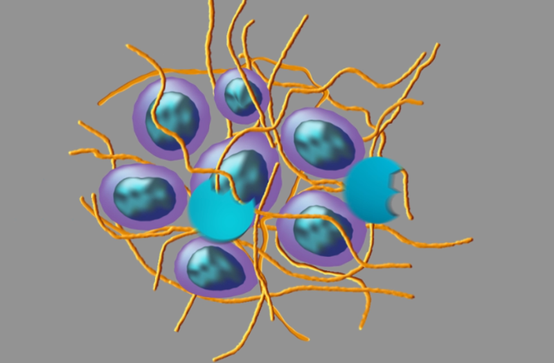 An Introduction to Enzymes | The Scientist