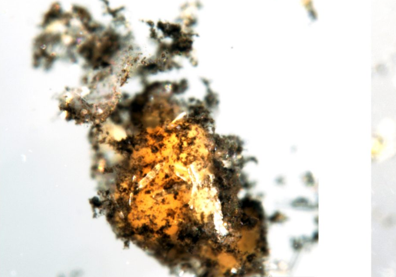 Deep Sea Microbes Produce Graphite-like Carbon | The Scientist